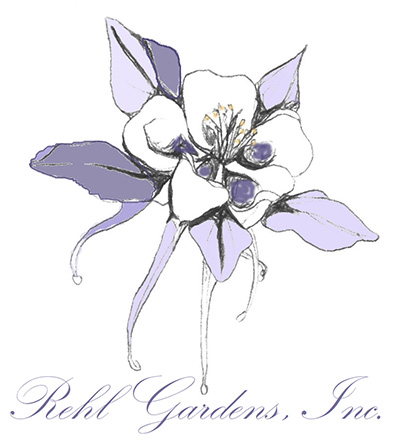 NH Women Folk – A human musical experience